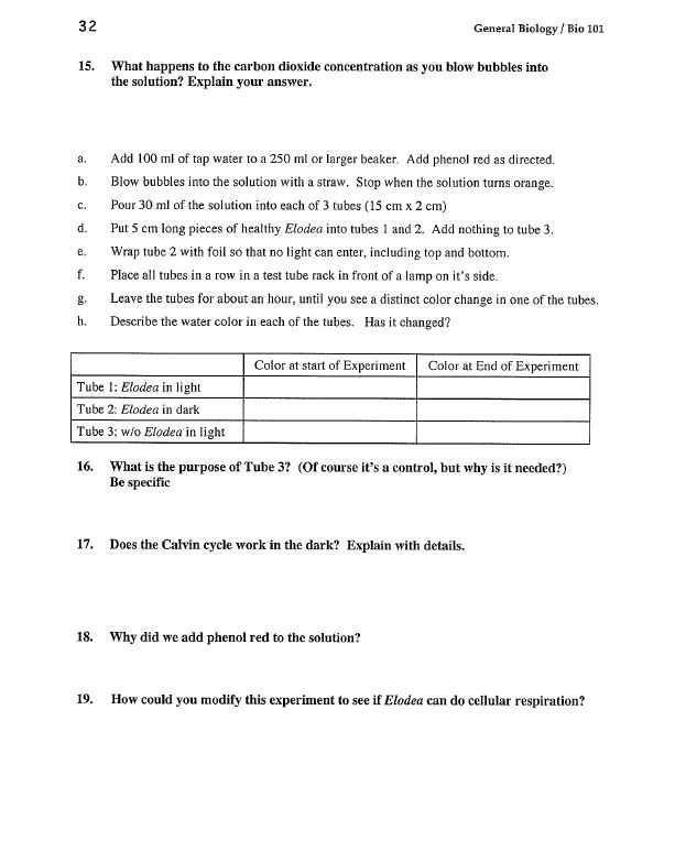 Solved Activity 3: Calvin Cycle at Night? The reactions of | Chegg.com