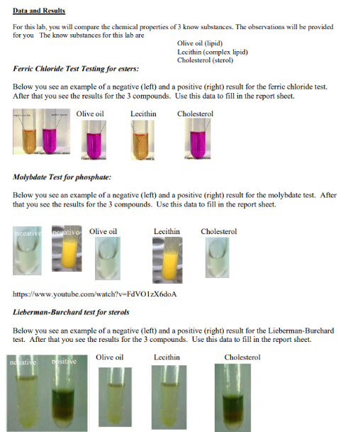 Solved Data and Results For this lab, you will compare the | Chegg.com