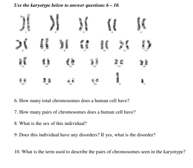 Solved Use the karyotype below to answer questions 6-10. 6. | Chegg.com
