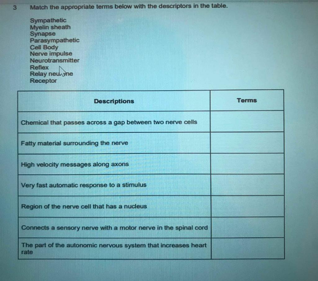 Solved 3 Match the appropriate terms below with the | Chegg.com