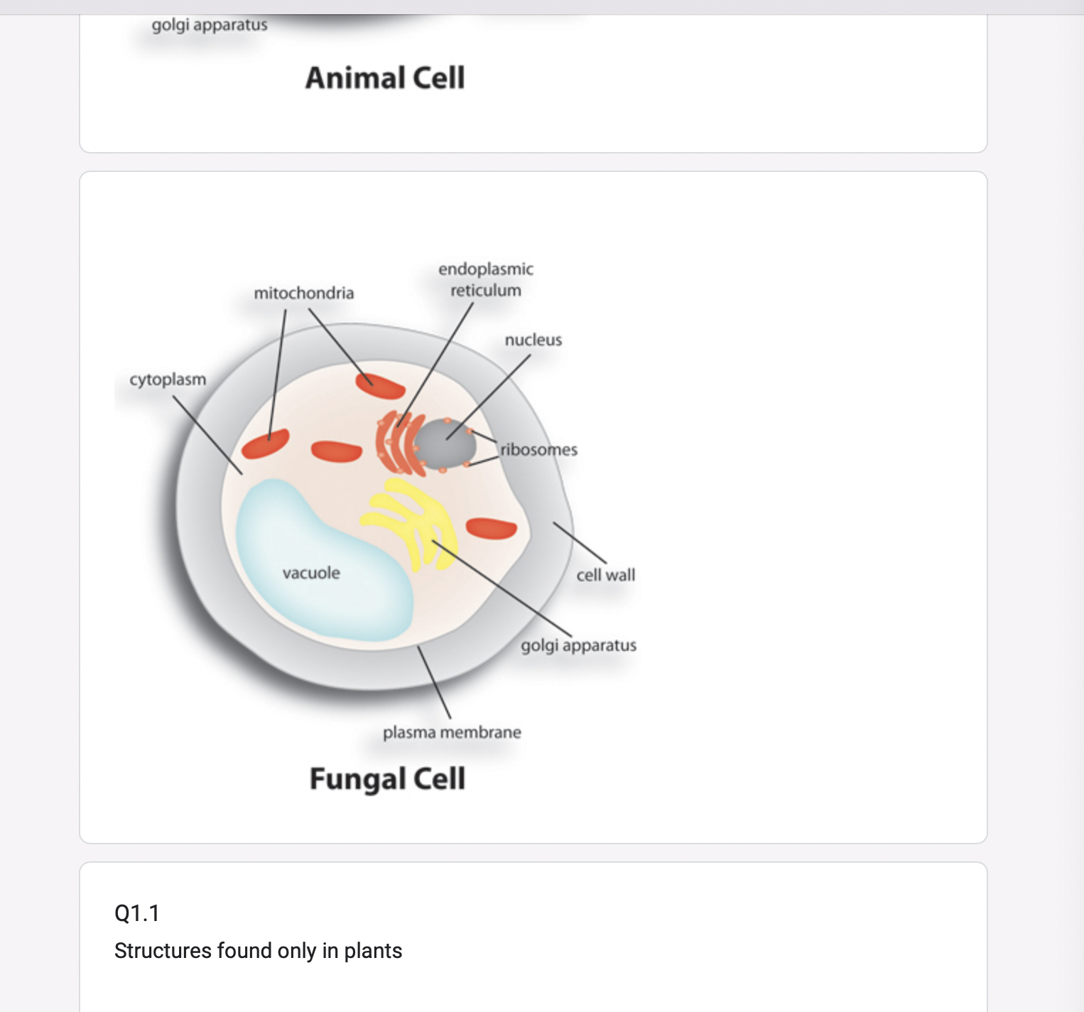 Solved Sort the cell structures shown in Figure 2.5 into | Chegg.com