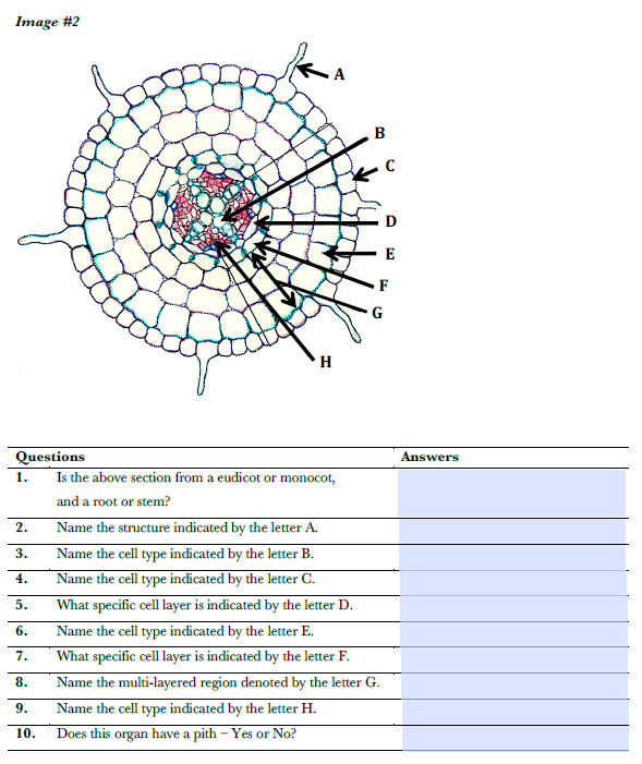 Solved Image #2 | Chegg.com