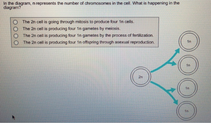 Solved In the diagram, n represents the number of | Chegg.com