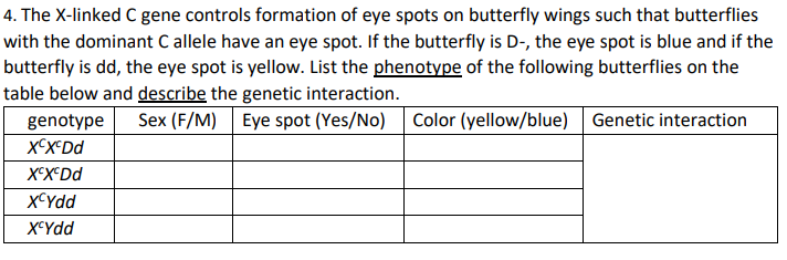 Solved 4. The X-linked C gene controls formation of eye | Chegg.com