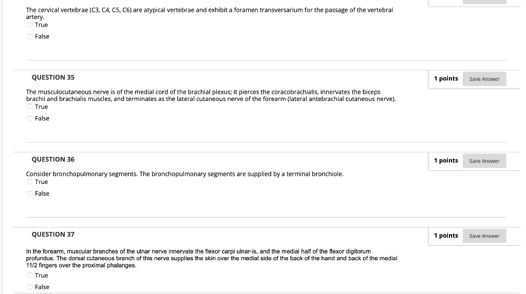Solved The cervical vertebrae (C3, C4, C5, C6) are atypical | Chegg.com