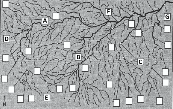 Solved Determine the stream order for each stream labelled | Chegg.com