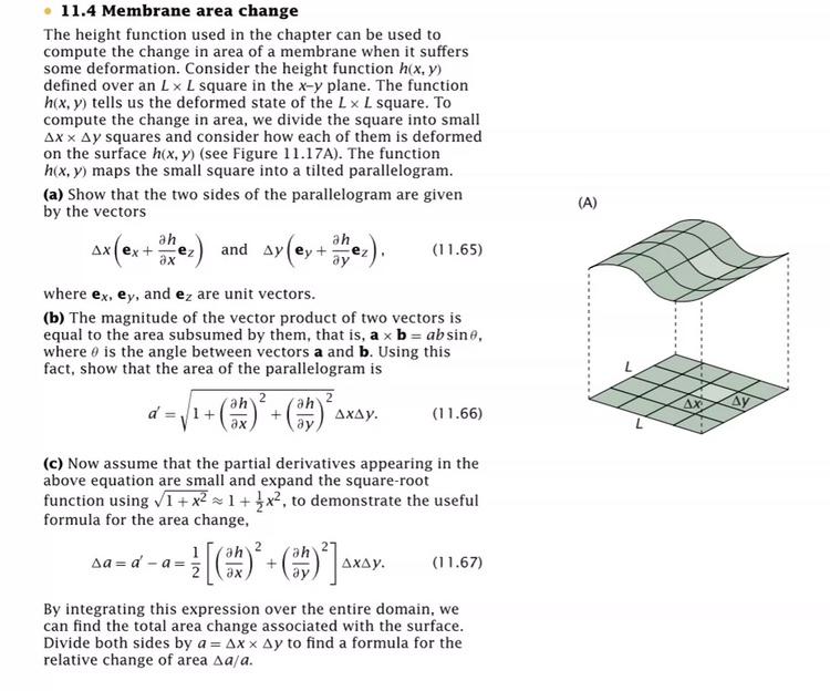 Solved (A) 11.4 Membrane area change The height function | Chegg.com