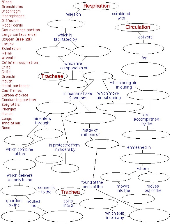 Solved Need help with concept map | Chegg.com