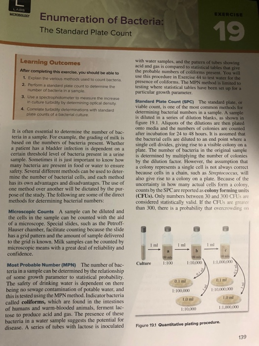 Solved Enumeration of Bacteria: The Standard Plate Count | Chegg.com