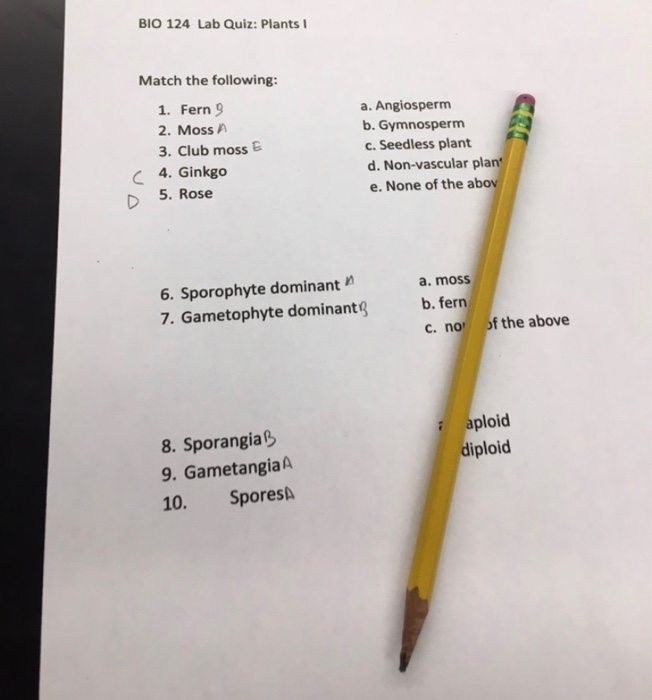 Solved BIO 124 Lab Quiz: Plants I Match the following: 1. | Chegg.com
