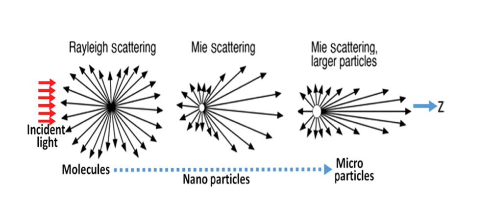 Solved 1-what is difference between them ? 2- why the arrows | Chegg.com