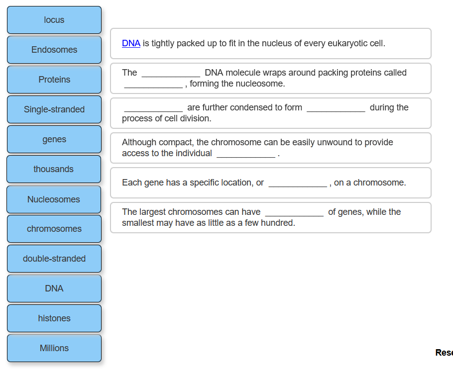 Solved Complete the following paragraph to describe how DNA | Chegg.com