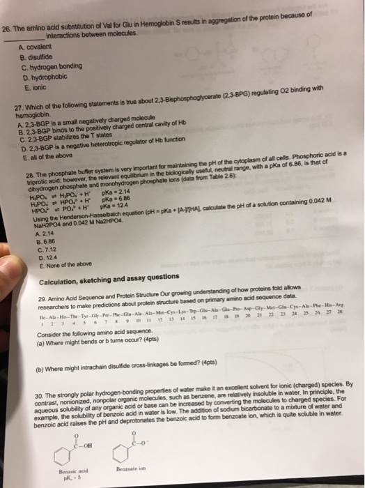 Solved 26. The amino acid substitution of Val for Glu in | Chegg.com