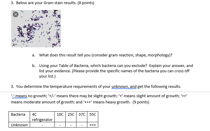 Solved 3. Below are your Gram stain results. (8 points) a. | Chegg.com