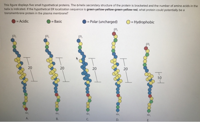 Solved This figure displays five small hypothetical | Chegg.com Solved This figure displays five small hypothetical | Chegg.com