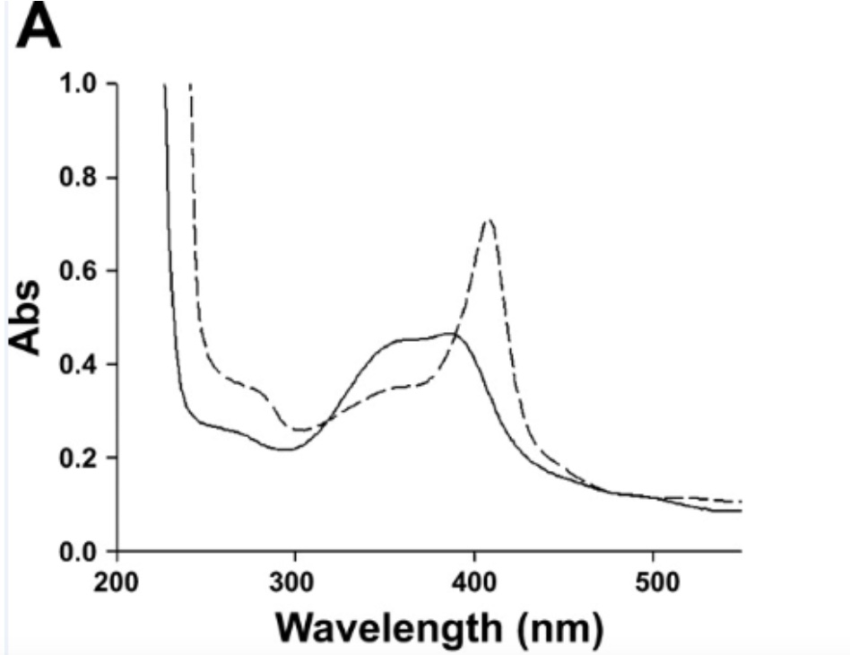 Solved the graph above shows the absorption spectrum of | Chegg.com