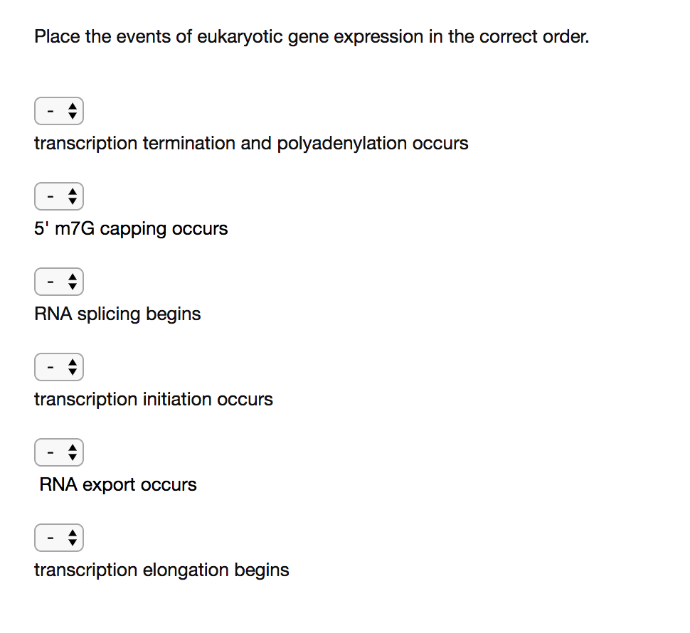 Solved Place the events of eukaryotic gene expression in the | Chegg.com