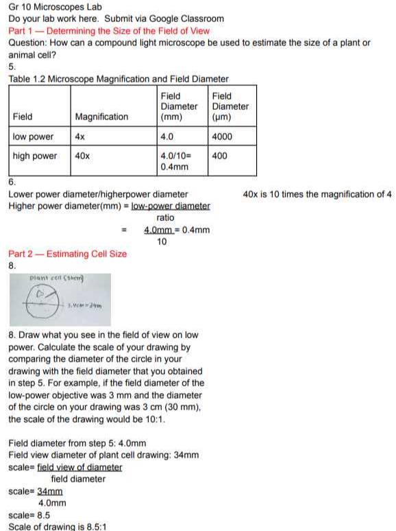 Solved Gr 10 ﻿Microscopes LabDo your lab work here. Submit | Chegg.com