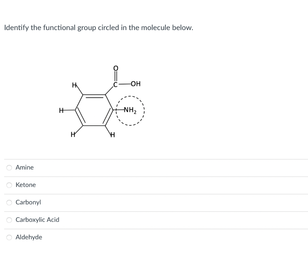 Solved Identify the functional group circled in the molecule | Chegg.com