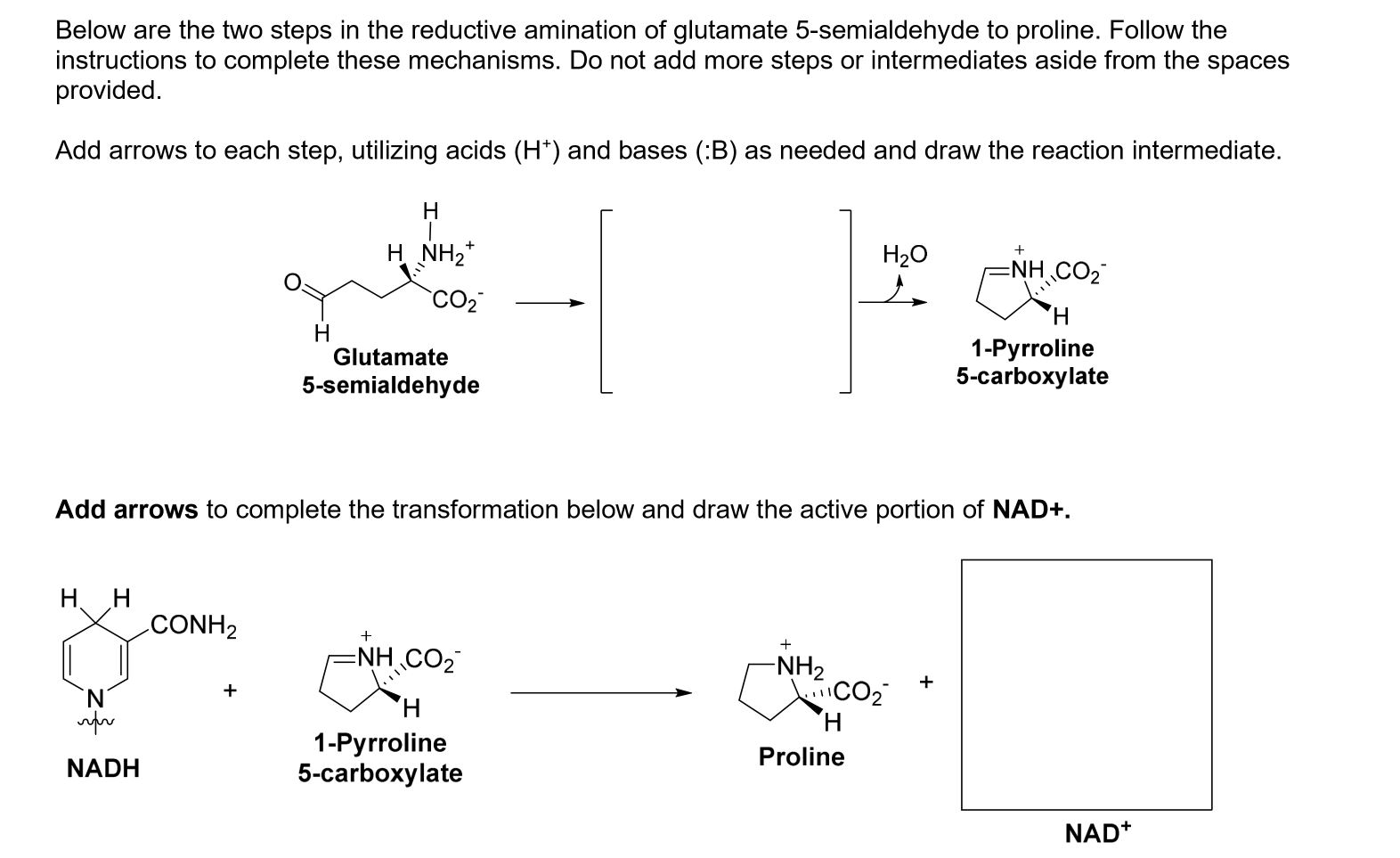 Below are the two steps in the reductive amination of | Chegg.com