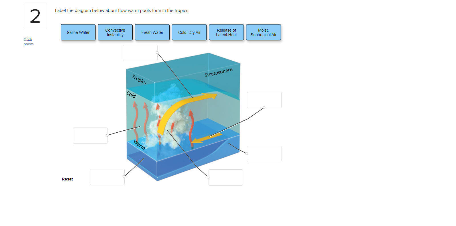 Solved Label the diagram below about how warm pools form in | Chegg.com