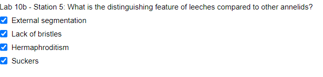 Solved Lab 10b - Station 3: What structures can be observed | Chegg.com