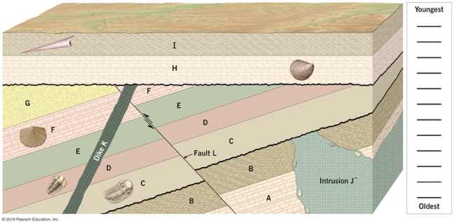 Solved Part 2 Principles of Cross-Cutting and Inclusions The | Chegg.com