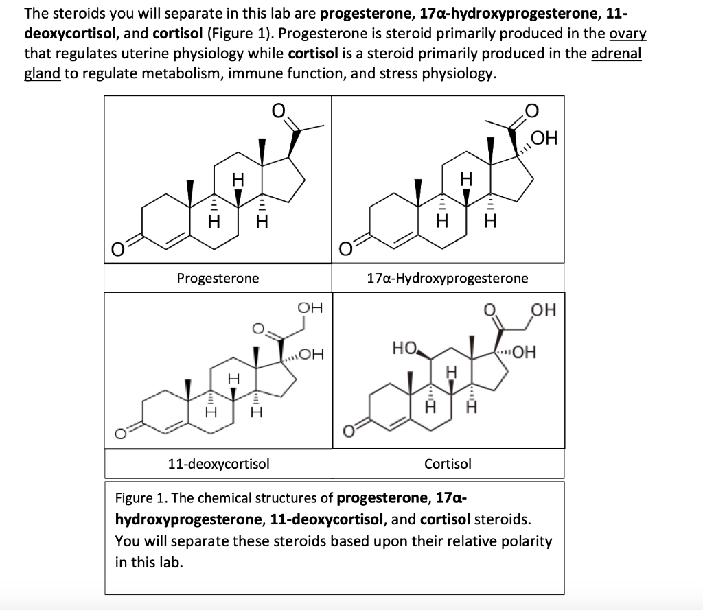 NEED DONE ASAP! THANK YOU! Calculate the Rf Value | Chegg.com