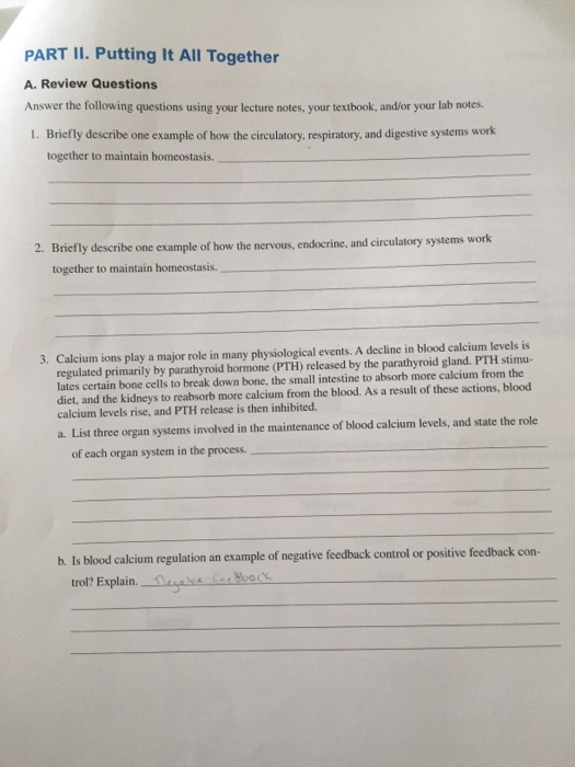 Solved PART II. Putting It All Together A. Review Questions | Chegg.com