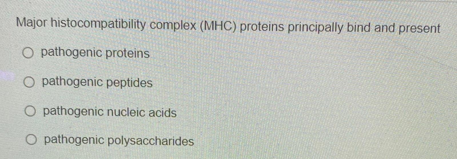 Solved Major histocompatibility complex (MHC) proteins | Chegg.com