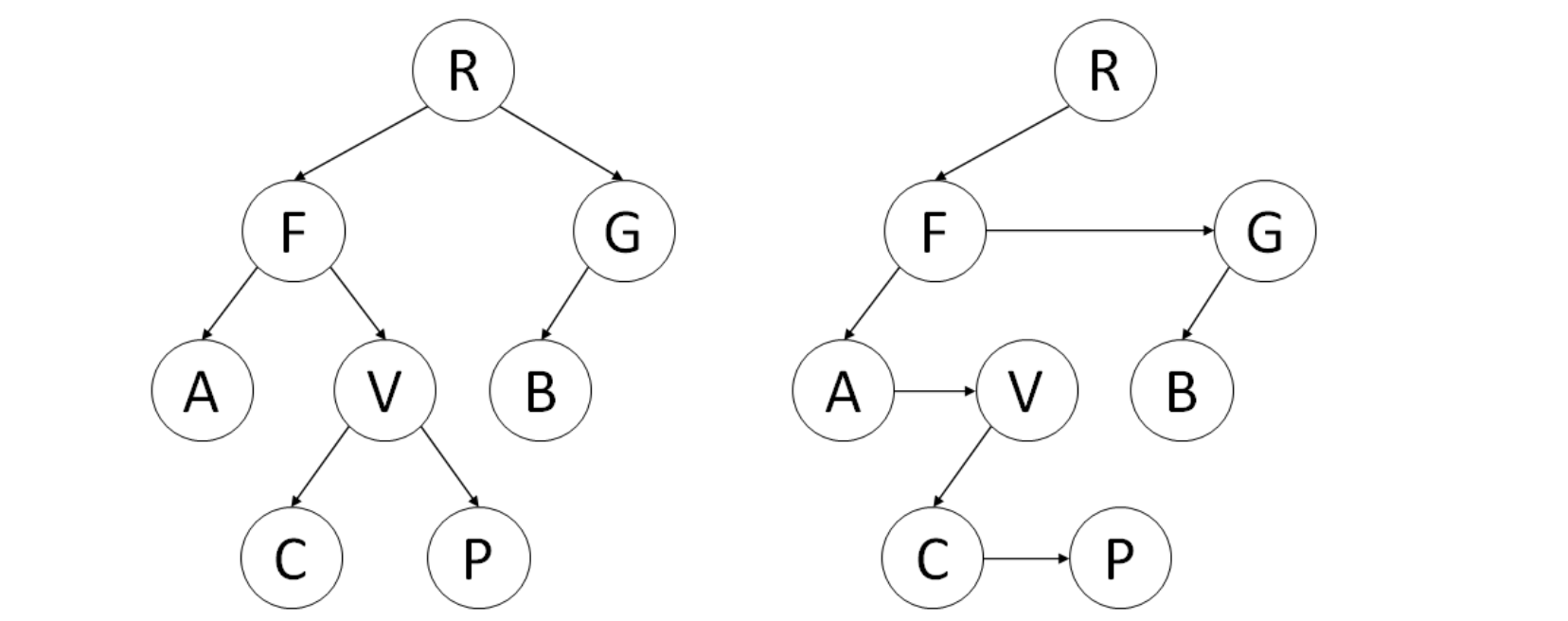 Solved We can represent any type of n–ary tree using | Chegg.com