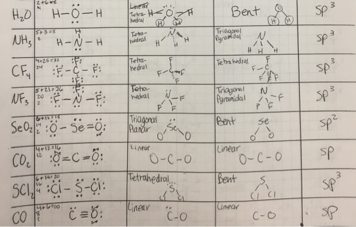 Solved Please draw the correct VSEPR for the following | Chegg.com