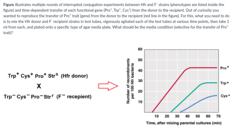 Solved Figure illustrates multiple rounds of interrupted | Chegg.com