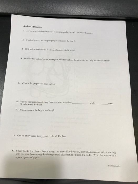 Solved Could someone please help me with this biology lab? | Chegg.com