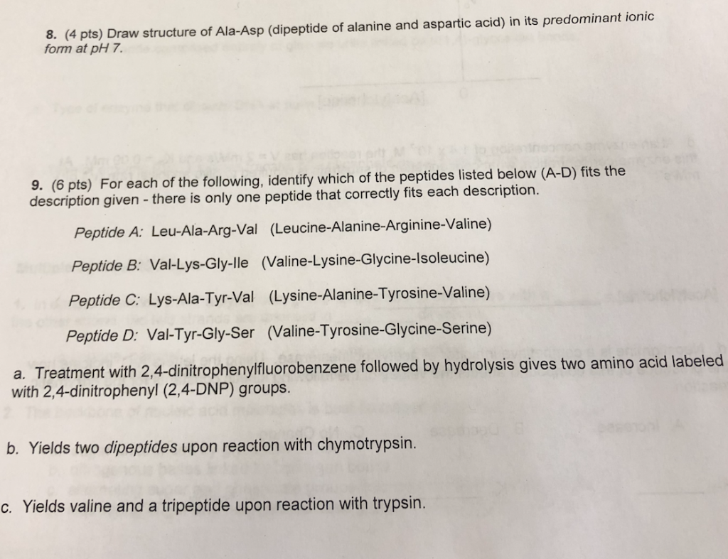 Solved 8. (4 pts) Draw structure of Ala-Asp (dipeptide of | Chegg.com