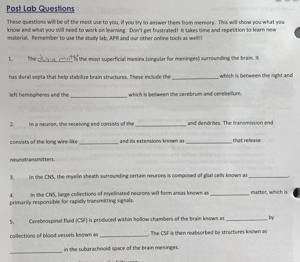 Solved Biology 227 ch. 12 & 13 lab: introduction nervous | Chegg.com