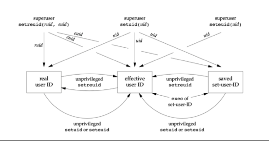 Solved Describe the image below. | Chegg.com