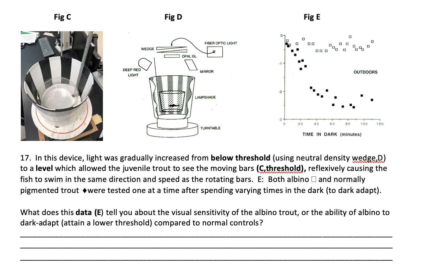 5. Using the horizontal sweep to measure: Determining | Chegg.com
