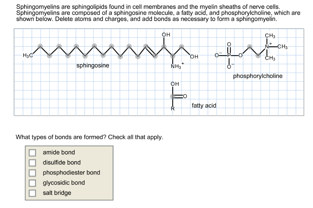 Solved Sphingomyelins are sphingolipids found in cell | Chegg.com