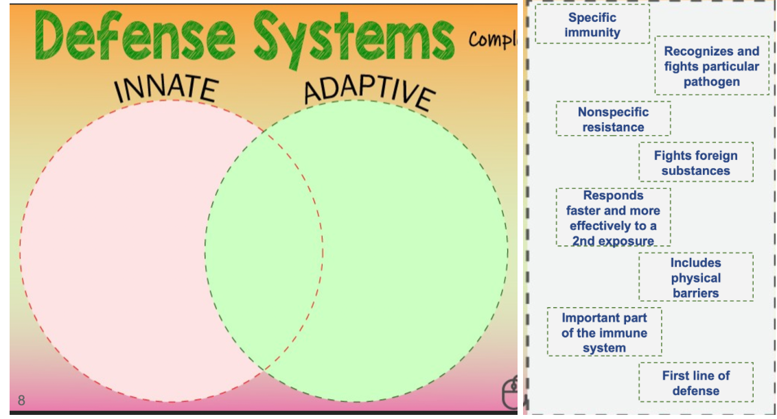 Solved which is innate and which adaptive, and what do they | Chegg.com