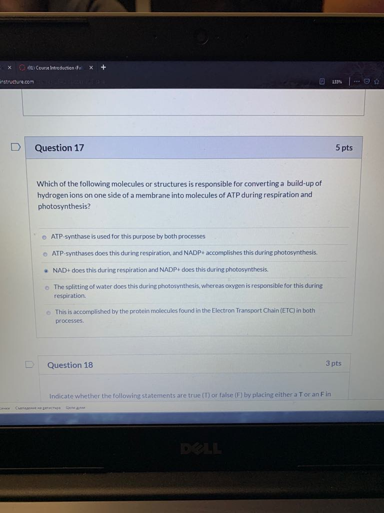 Solved E X O 01 Course Introduction F X + instructure.com | Chegg.com
