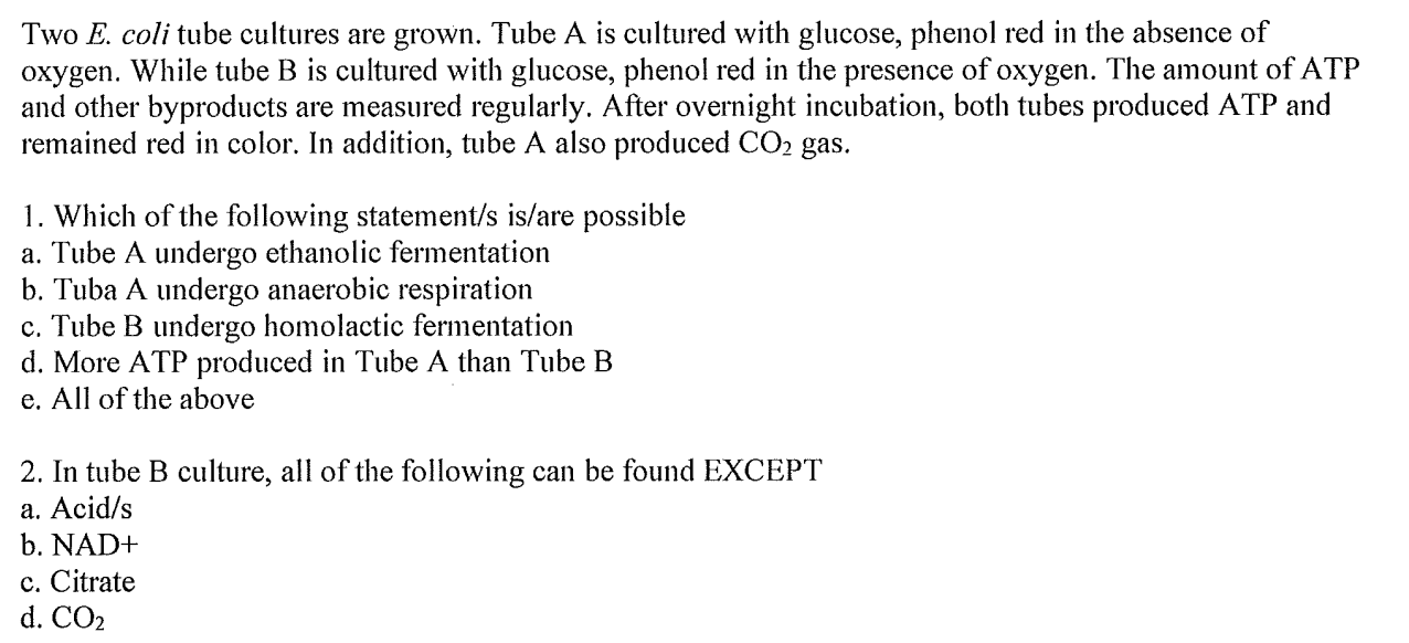 Solved Two E. coli tube cultures are grown. Tube A is | Chegg.com