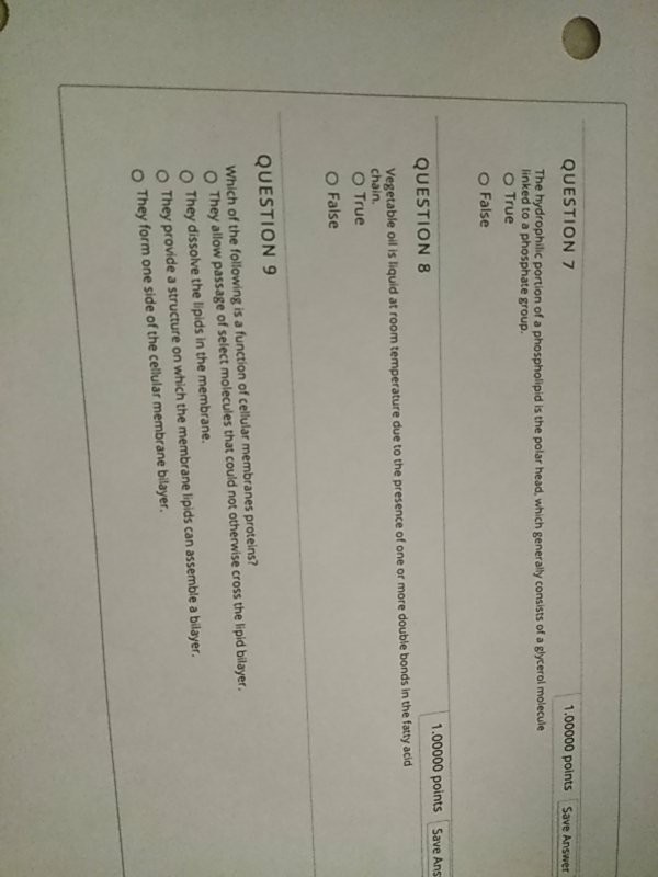 Solved QUESTION 7 1.00000 points Save Answer The hydrophilic | Chegg.com