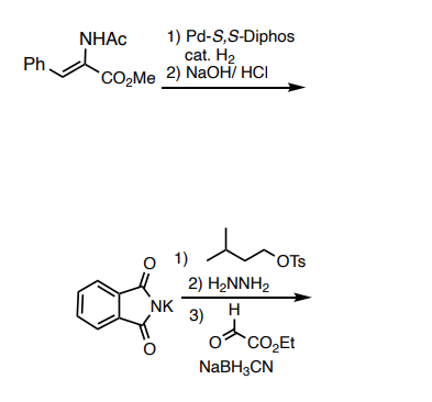 Solved 1) Pd-S,S-Diphos cat. H2 | Chegg.com
