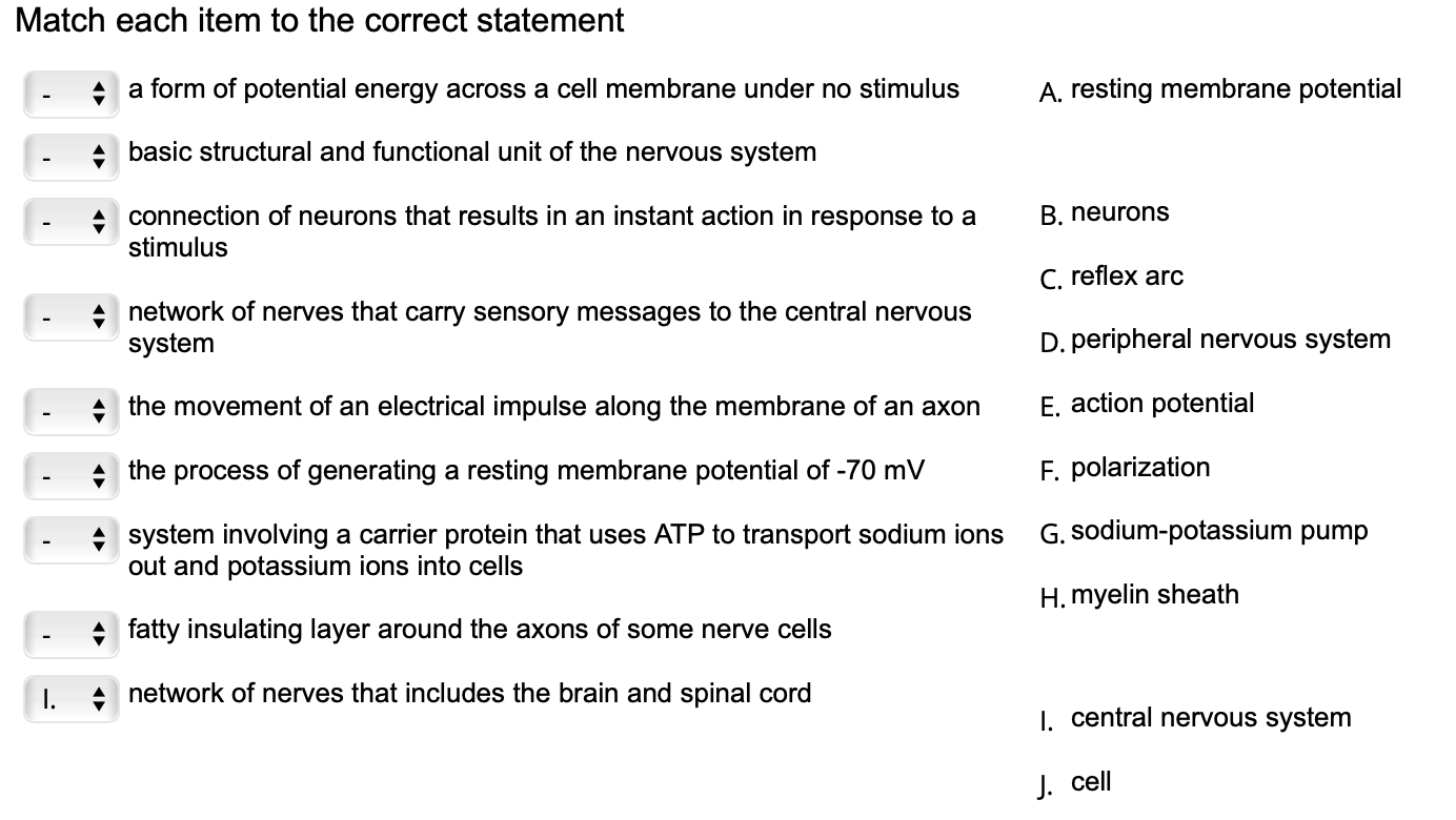 Solved Match each item to the correct statement a form of | Chegg.com