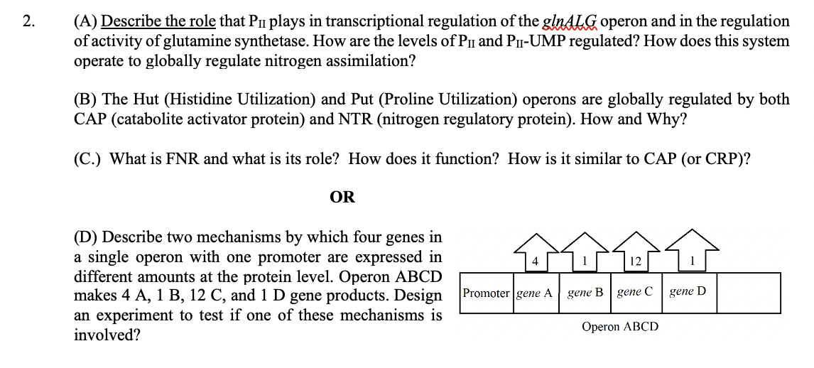 2. (A) Describe the role that Pı plays in | Chegg.com