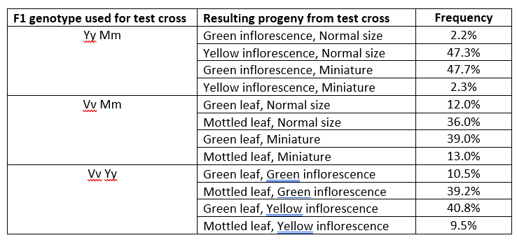 Solved You're in the process of mapping three linked genes | Chegg.com