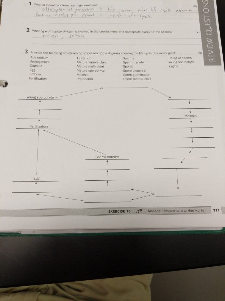 Solved arrange the following structures or prosses into a | Chegg.com