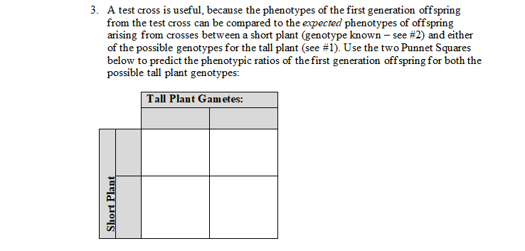 Solved 3. A test cross is useful, because the phenotypes of | Chegg.com