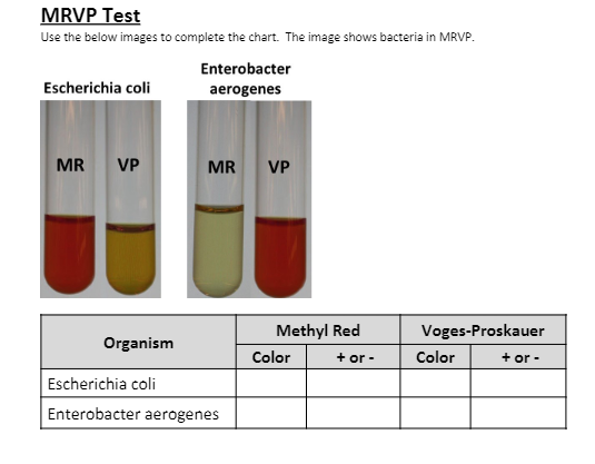 Solved MRVP Test Use the below images to complete the chart. | Chegg.com